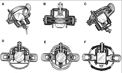 Best Management Practices for Trapping Furbearers in the United States ...